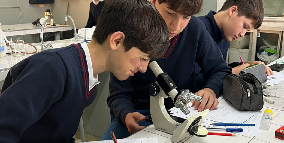 Laboratorios vivos – Colegio Belgrano Temperley